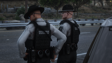 CPC Vest Pack (Male & Female)(FiveM & SP) – TrooperCorentin